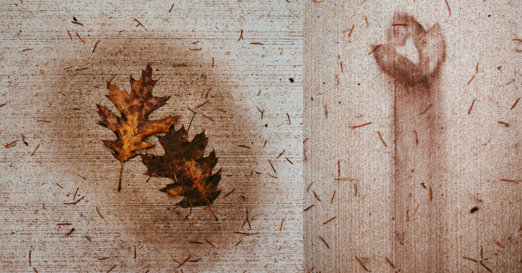 Designing Diptychs | by Sarah Menard - Hello Storyteller