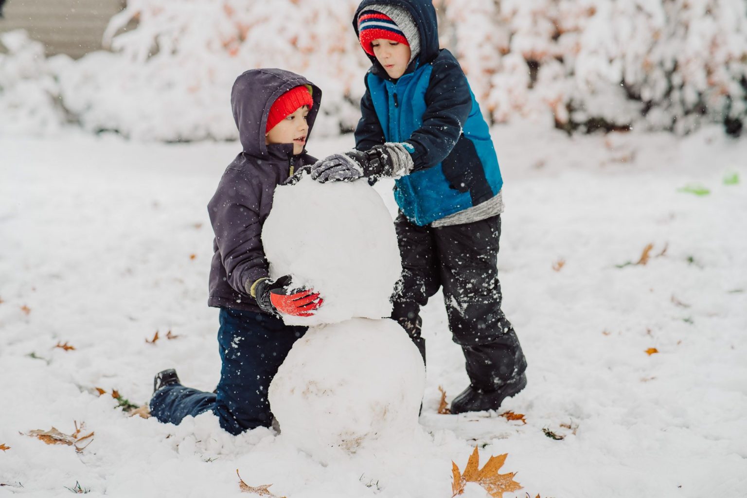 Podcast Episode 82: Winter Academy Update - Hello Storyteller