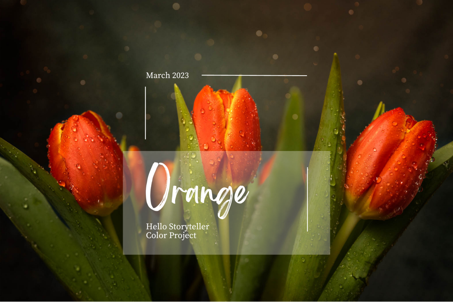 Hello Storyteller Color Project | Orange - Hello Storyteller