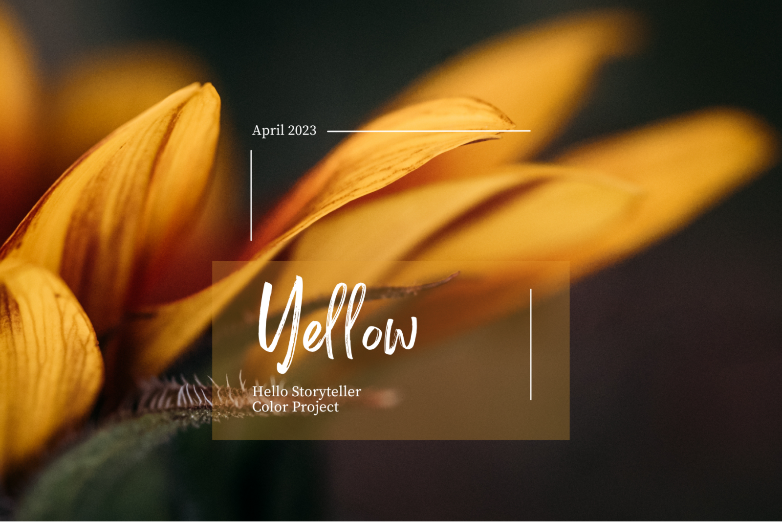 Hello Storyteller Color Project | Yellow - Hello Storyteller